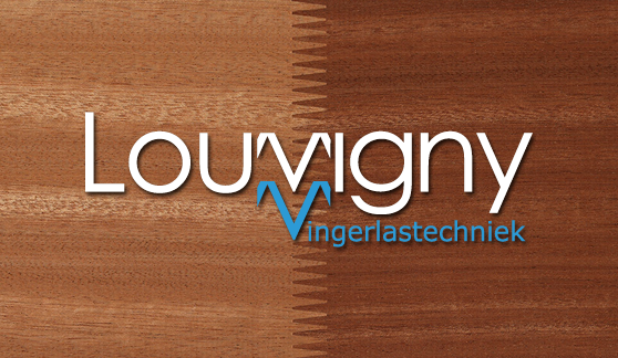 Vingerlastechnie - Louvigny Venlo BV
